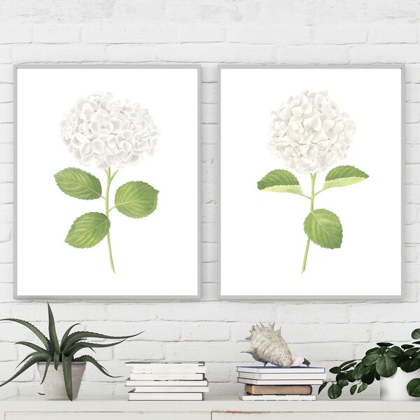 Hydrangea Print - Etsy