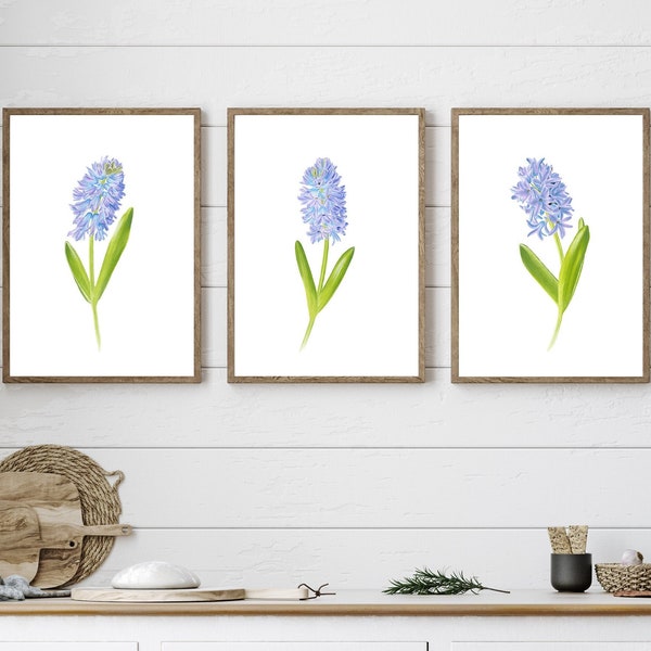 Hyacinth Blue - Etsy