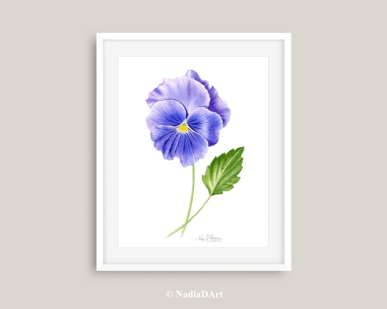PURPLE IRIS VIOLET Primrose Pansy Art Print Set of 4 | Etsy