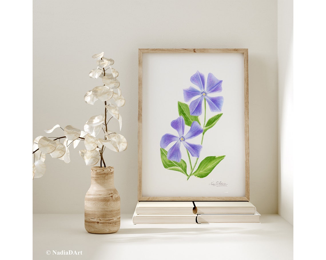 PERIWINKLE PRINT Periwinkle Watercolor Painting Periwinkle | Etsy