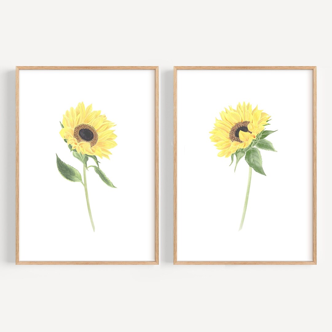 SUNFLOWER ART PRINT Set of 2 Sunflower Floral Print - Etsy