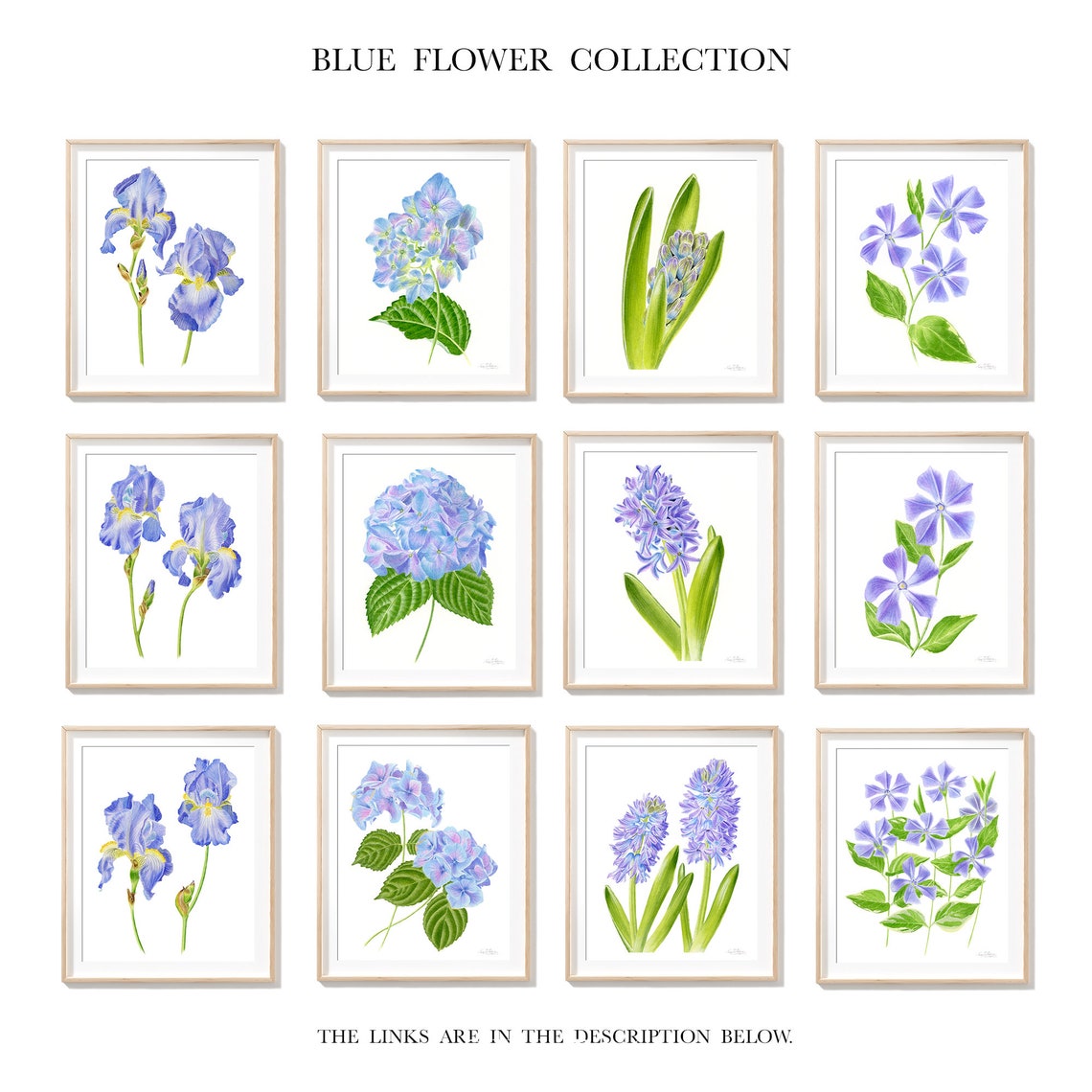 PERIWINKLE PRINT SET of 3 Periwinkle Watercolor Painting - Etsy