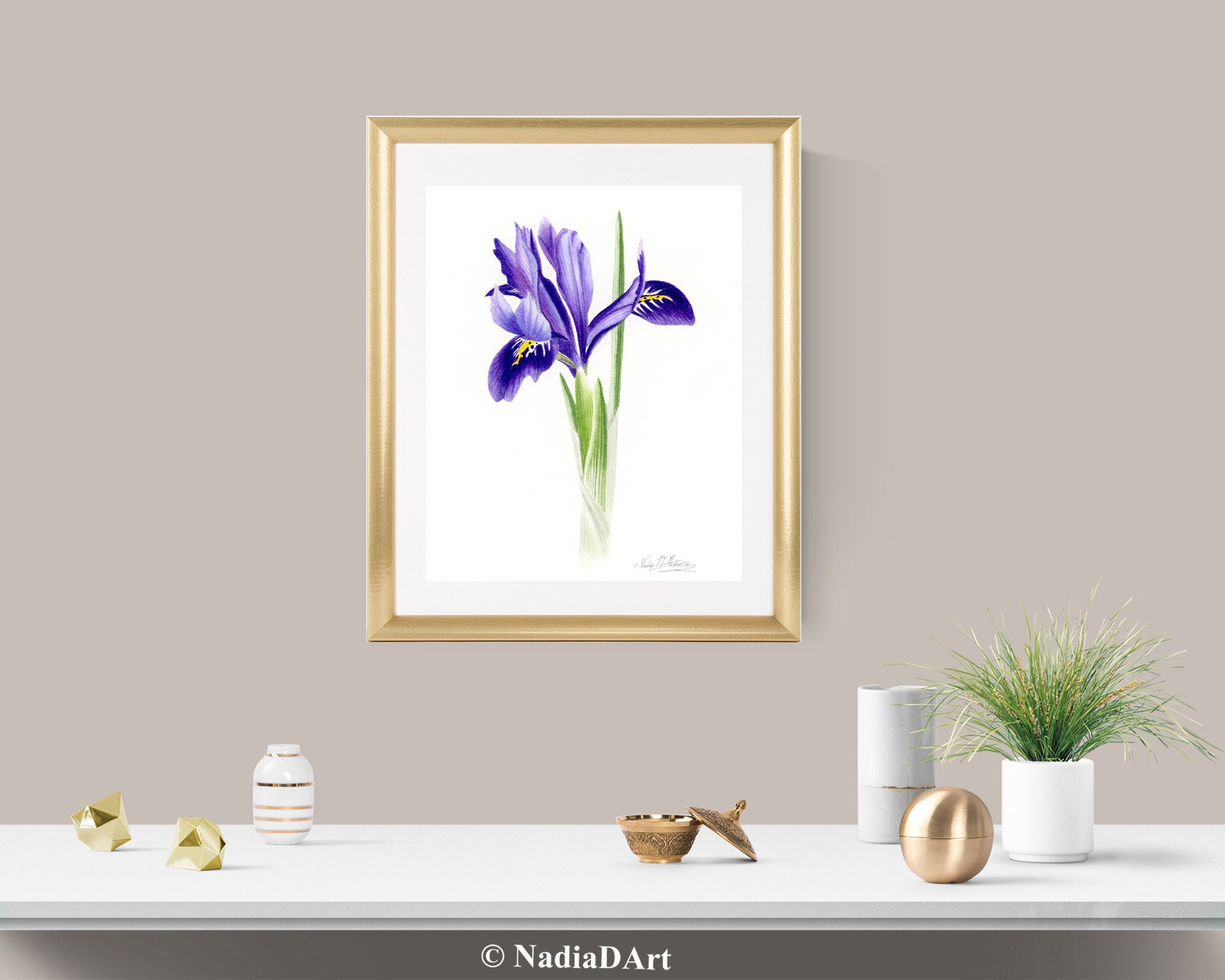 PURPLE IRIS ART print iris botanical print iris watercolor | Etsy