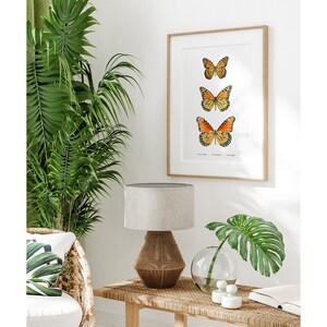 Monarch Butterfly Wall Art Monarch Print Monarch Butterfly Print ...
