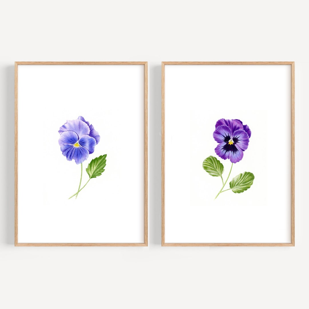 VIOLET ART PRINT Set of 2, Pansy Art Print, Violet Watercolor Painting ...