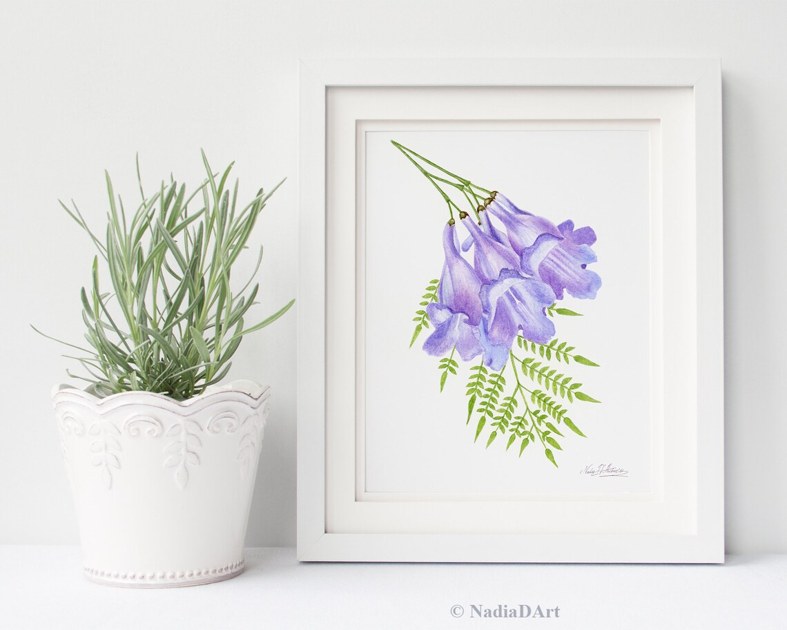 JACARANDA ART Print Jacaranda Watercolor Painting Jacaranda | Etsy