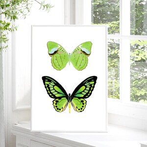 Green Butterfly Print Set of 2 Dark Green Wall Art Watercolor Butterfly ...
