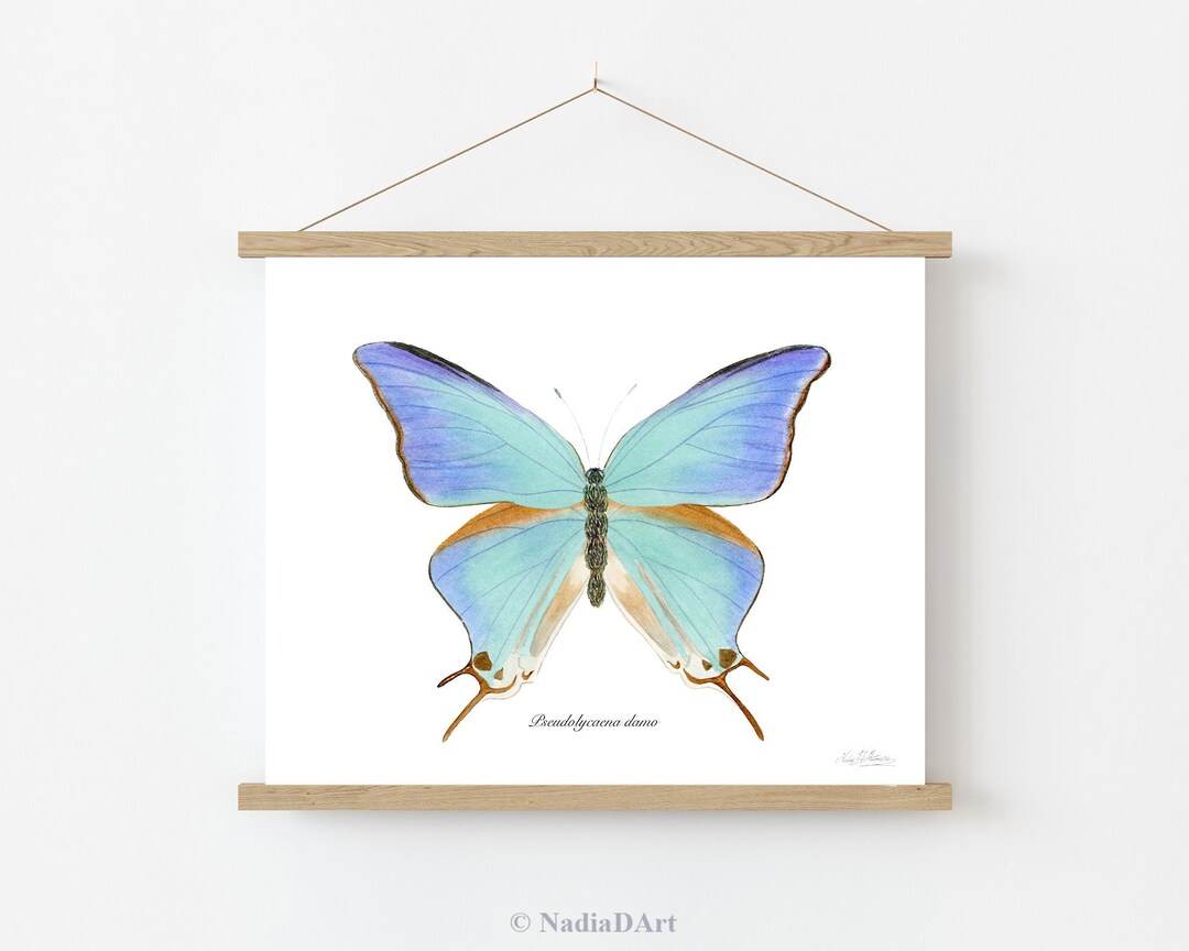 Teal Blue Butterfly Print, Blue Butterfly Wall Decor, Hairstreak ...