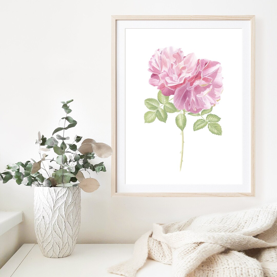 Pink Rose Painting Rose Watercolor Print Rose Watercolor Painting Pink ...