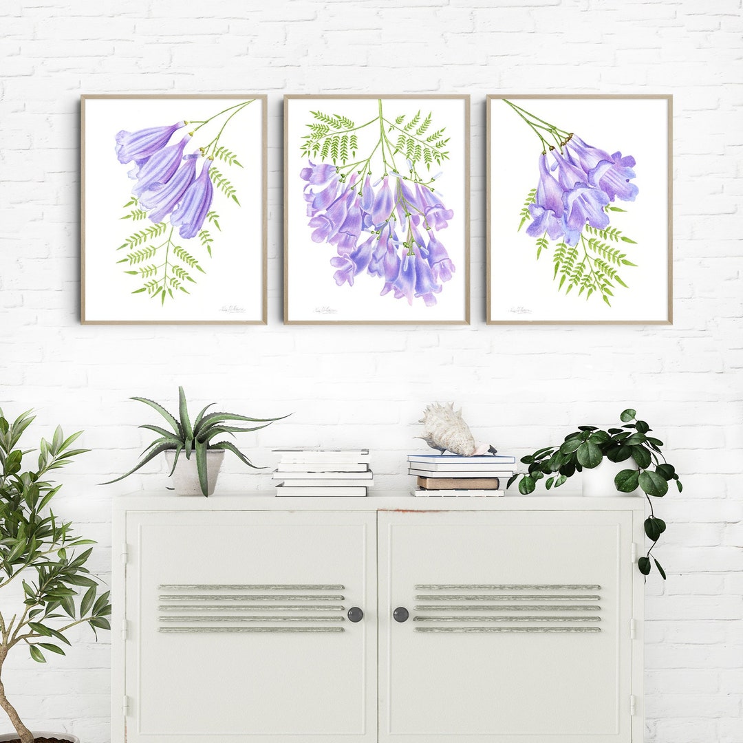 JACARANDA ART PRINT Set of 3, Jacaranda Botanical Print, Jacaranda ...