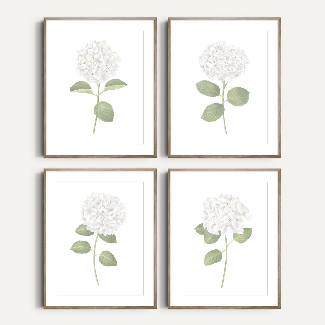 White Hydrangea Print Set of 4 Gallery Wall Set Hydrangea Painting ...