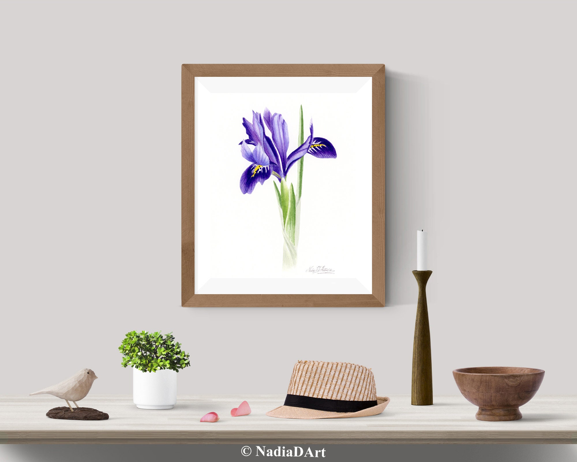 PURPLE IRIS ART print iris botanical print iris watercolor | Etsy