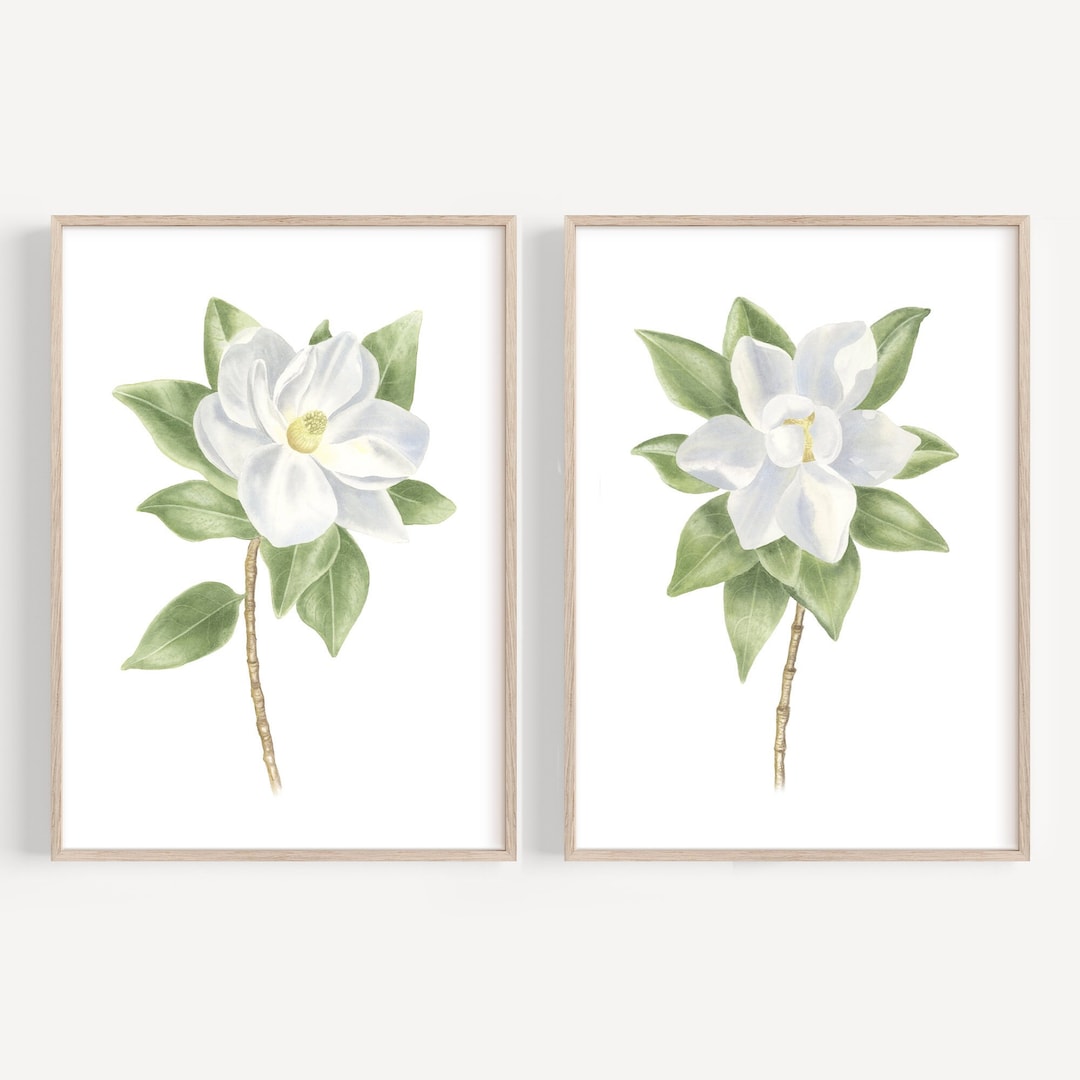 White Magnolia Painting Southern Magnolia Art Print Magnolia Watercolor ...