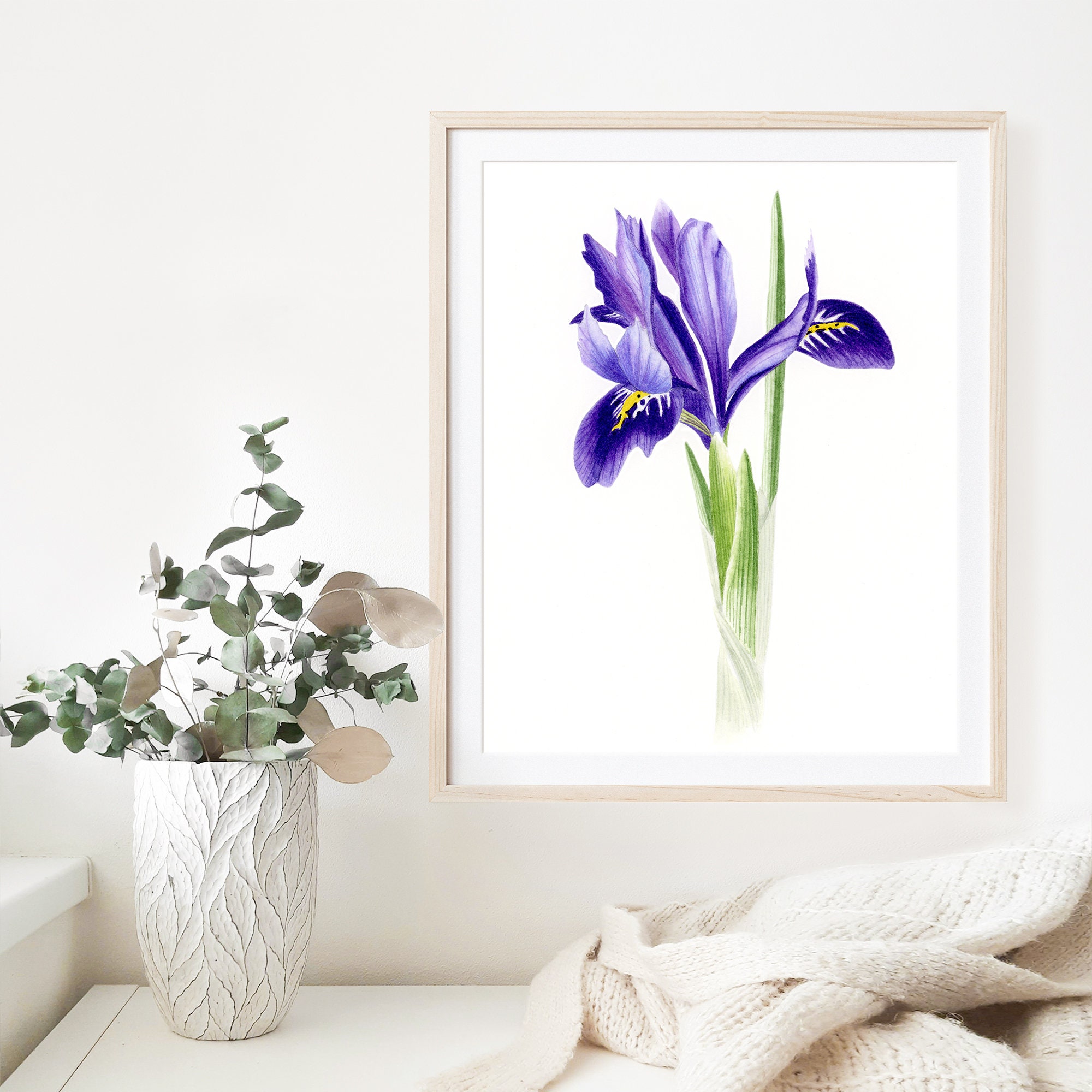 PURPLE IRIS ART Print Iris Botanical Print Iris Watercolor - Etsy