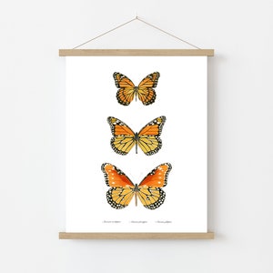 Monarch Butterfly Wall Art Monarch Print Monarch Butterfly Print ...