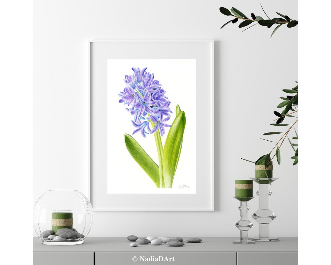 BLUE HYACINTH PRINT Hyacinth Watercolor Painting Hyacinth | Etsy