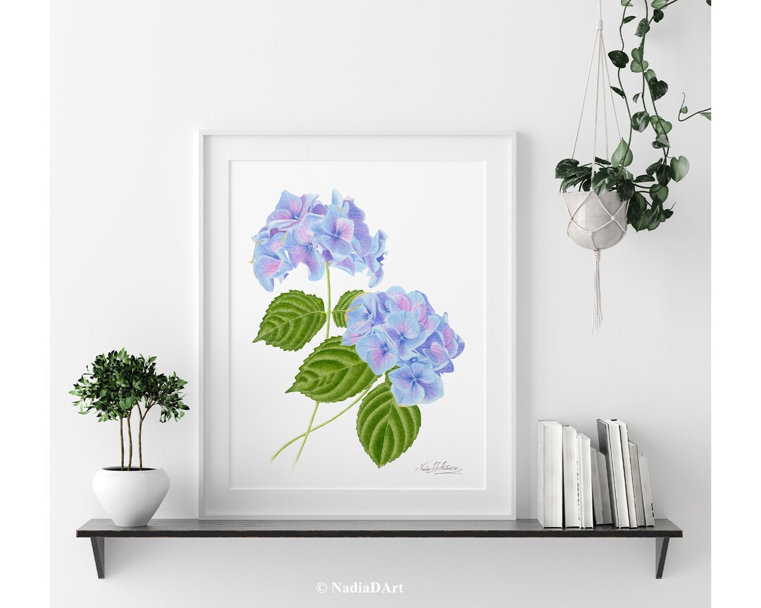 BLUE HYDRANGEA Print, Hydrangea Watercolor Painting, Hydrangea Wall Art ...