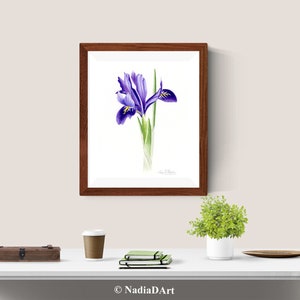 PURPLE IRIS ART print iris botanical print iris watercolor | Etsy