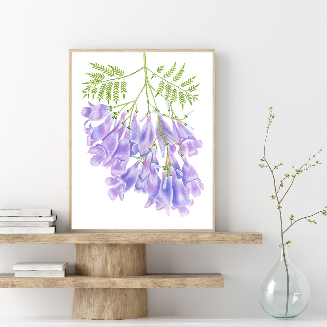 JACARANDA TREE ART Print, Jacaranda Botanical Print, Jacaranda Wall ...