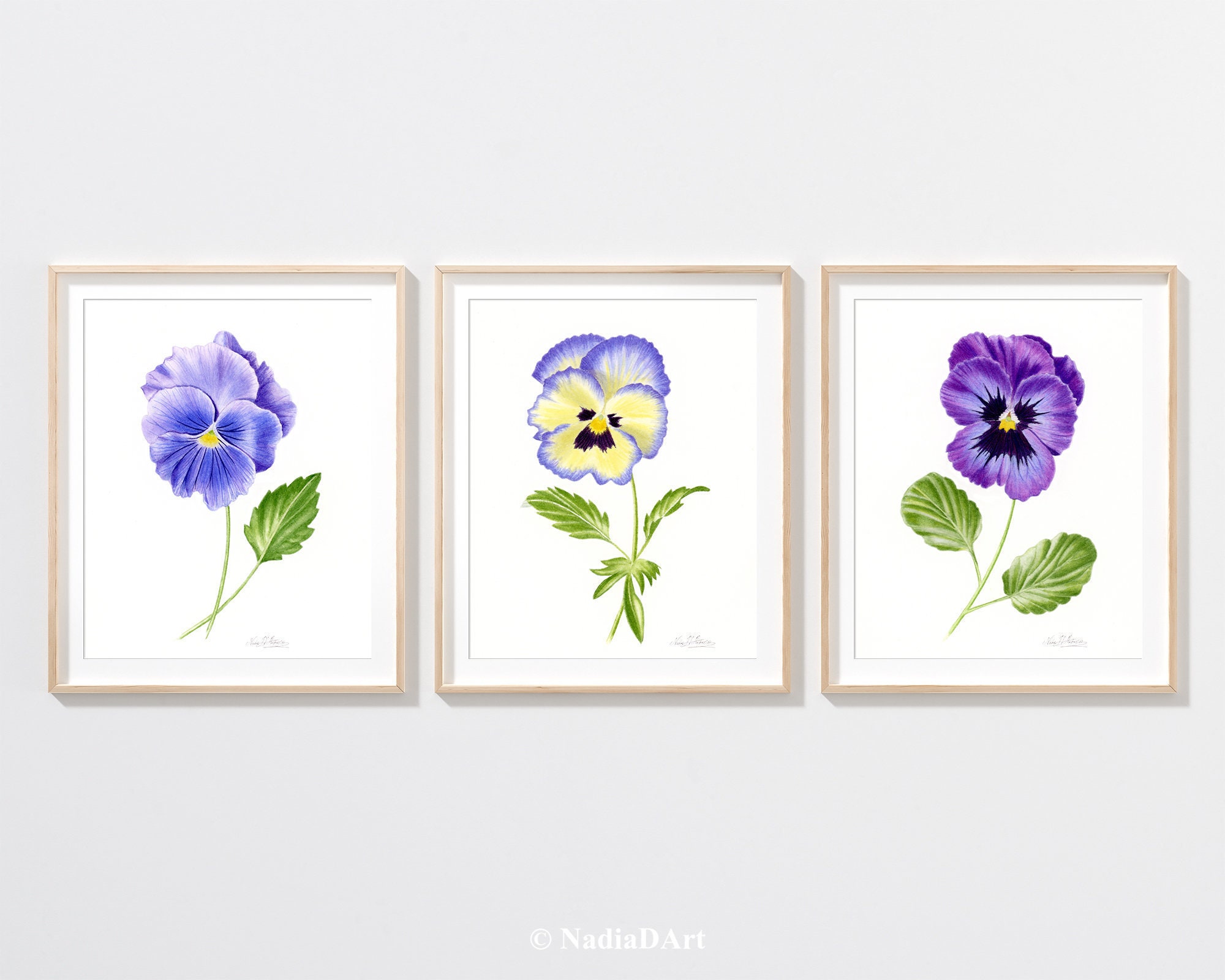VIOLET FLOWER ART Print Set of 3 Pansy Art Print Violet - Etsy UK