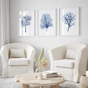 Blue Coral Prints Set 3 Navy Blue Wall Art Coastal Wall Art Nautical ...