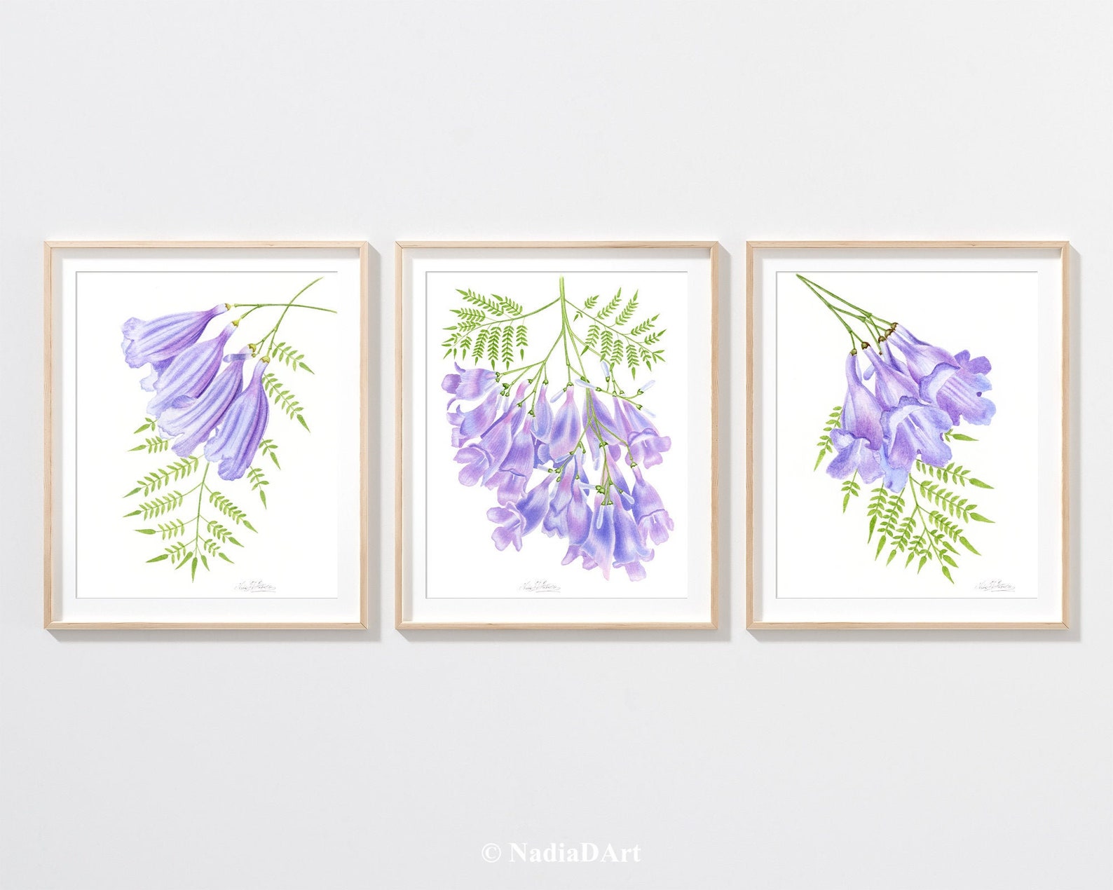 JACARANDA ART PRINT Set of 3 Jacaranda Botanical Print | Etsy