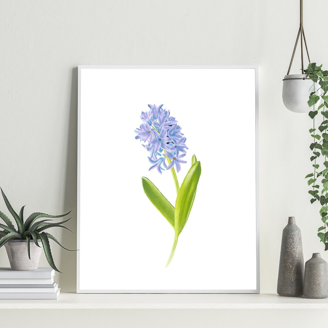 BLUE HYACINTH PRINT, Hyacinth Watercolor Painting, Hyacinth Wall Art ...