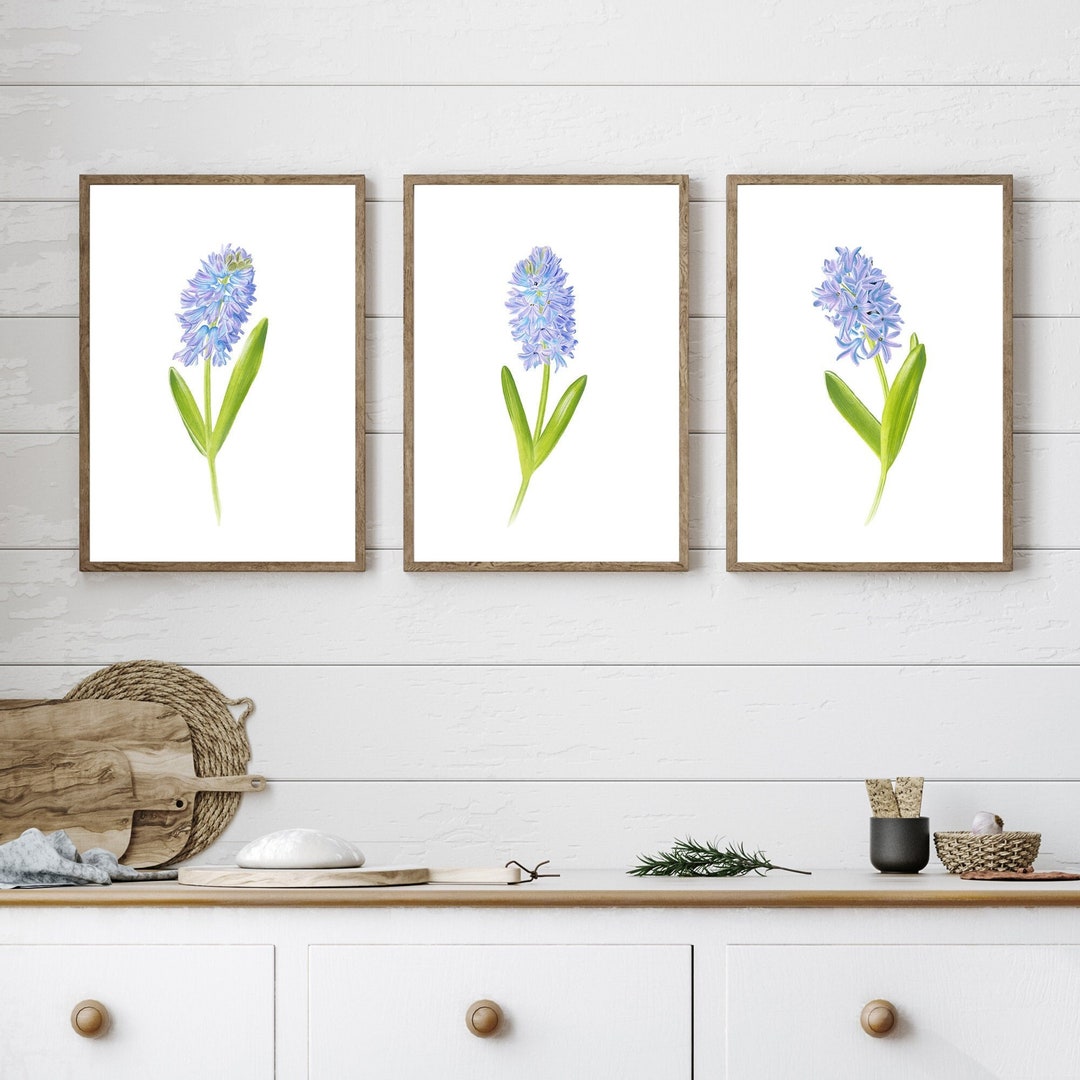 BLUE HYACINTH PRINT Set of 3, Hyacinth Watercolor Painting, Spring ...