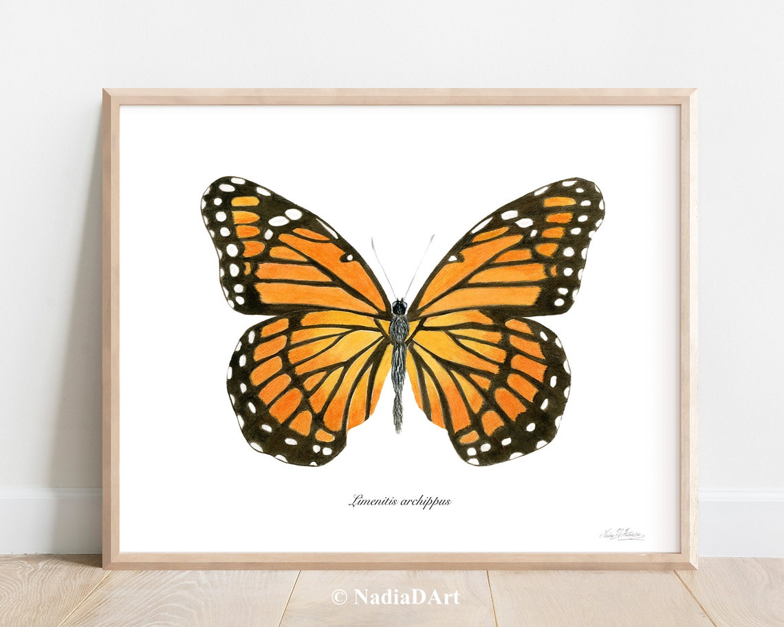 Monarch Butterfly Print Monarch Butterfly Painting Monarch - Etsy