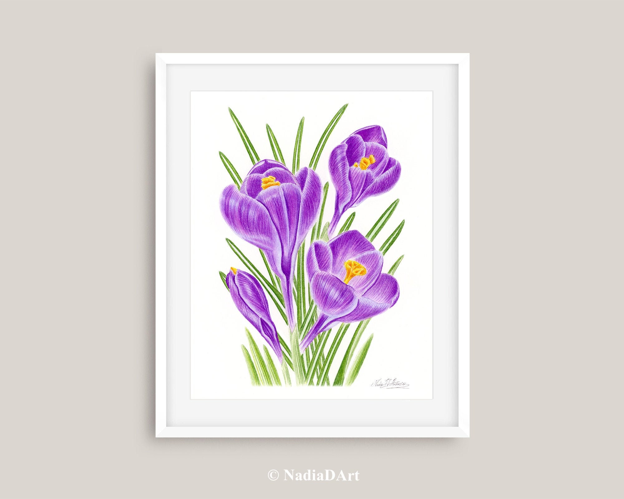 CROCUS ART PRINT crocus wall decor crocus watercolor | Etsy