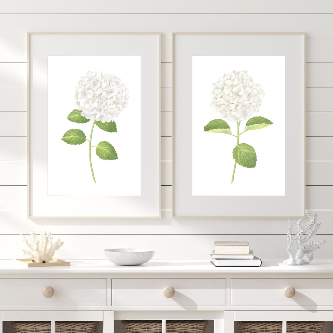 White Hydrangea Print Hydrangea Watercolor Flowers Hydrangea Painting ...