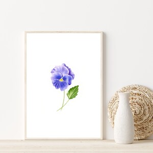VIOLET FLOWER ART Print, Violet Watercolor Painting, Violet Botanical ...