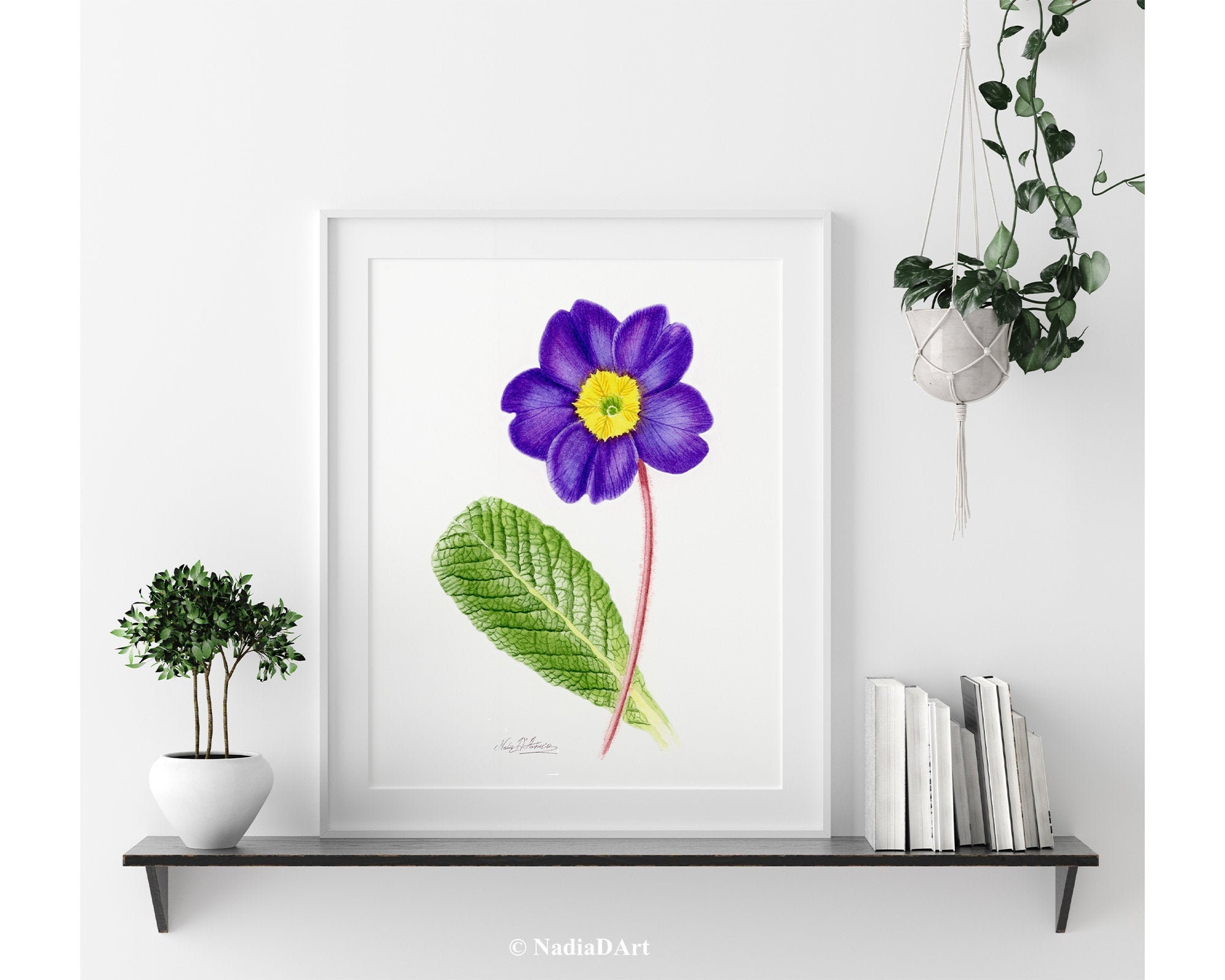 PURPLE PRIMROSE ART print evening primrose botanical print | Etsy