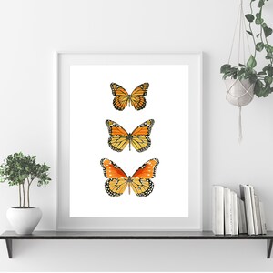 Monarch Butterfly Wall Art Monarch Print Monarch Butterfly Print ...