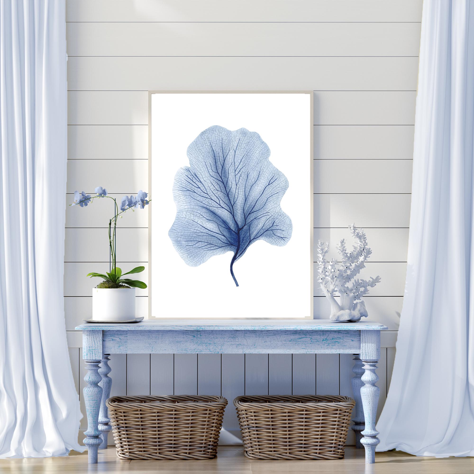 Blue Coral Prints White Navy Blue Wall Art Beach House Decor Sea Coral ...
