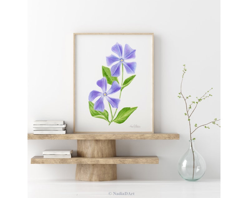 PERIWINKLE PRINT Periwinkle Watercolor Painting Periwinkle | Etsy