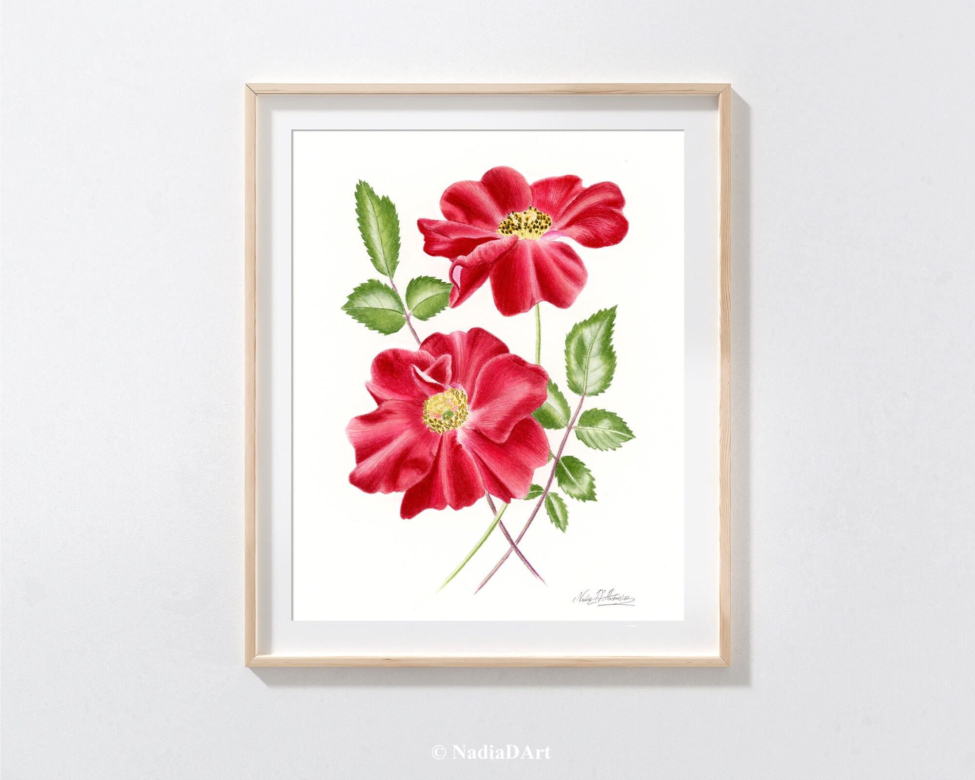 RED ROSE Art Print Set of 3 Botanical Art Print Red Flower | Etsy