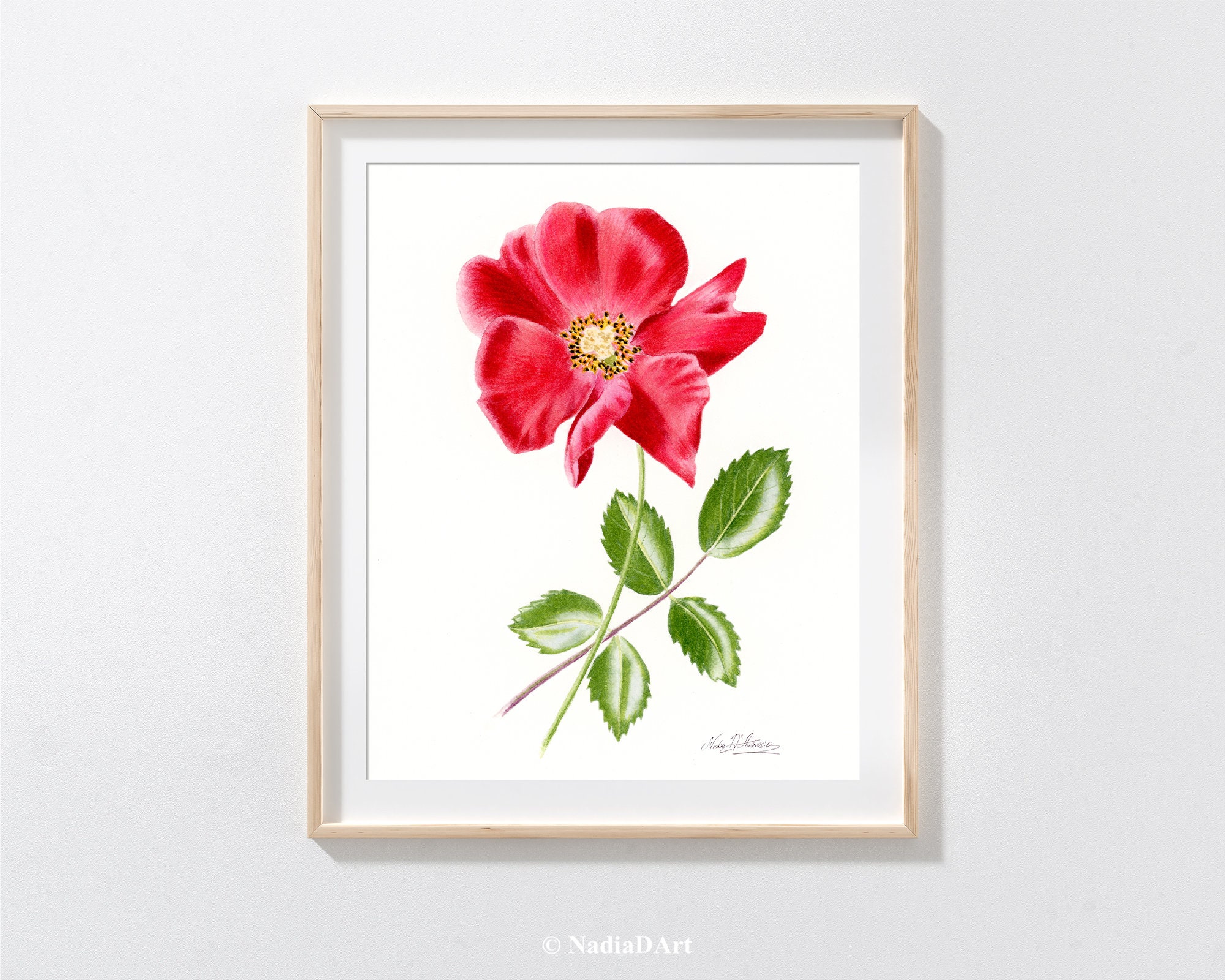 RED ROSE Art Print Set of 3 Botanical Art Print Red Flower | Etsy