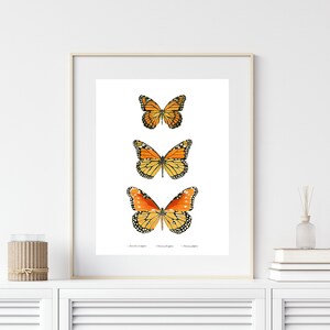 Monarch Butterfly Wall Art Monarch Print Monarch Butterfly Print ...