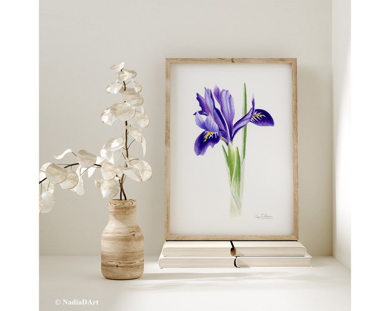 PURPLE IRIS ART Print Iris Botanical Print Iris Watercolor | Etsy