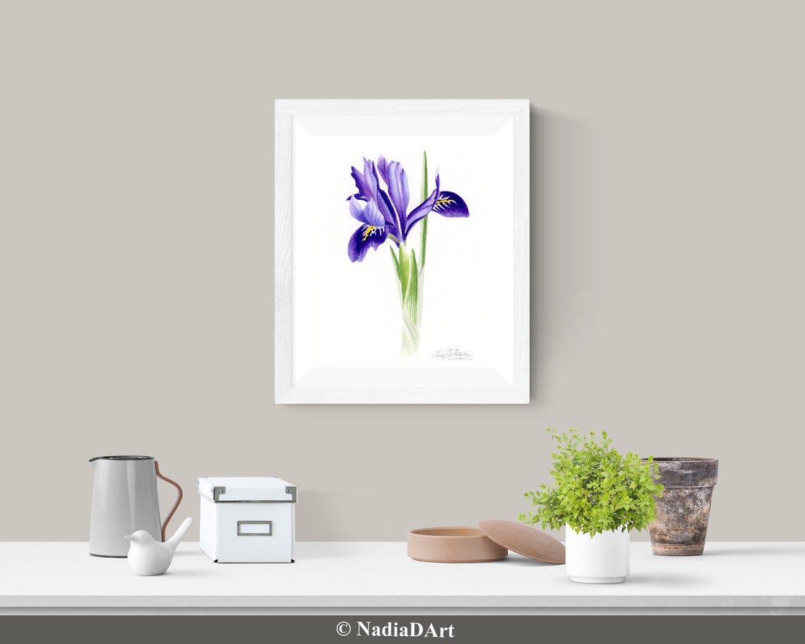 PURPLE IRIS ART print iris botanical print iris watercolor | Etsy