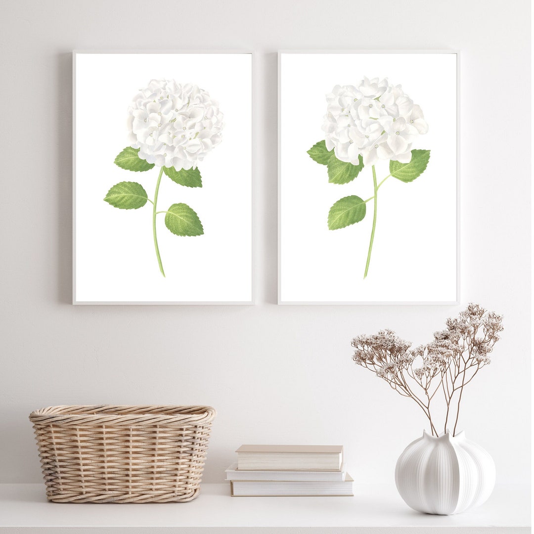 White Hydrangea Painting Hydrangea Art Print Hydrangea Watercolor ...