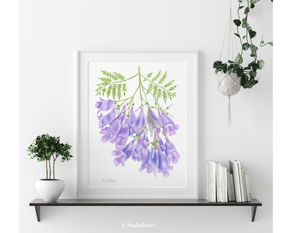 JACARANDA TREE ART Print Jacaranda Botanical Print Jacaranda | Etsy