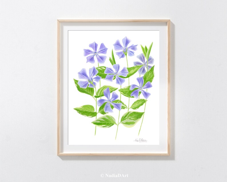 PERIWINKLE PRINT SET of 3, Periwinkle Watercolor Painting, Periwinkle ...
