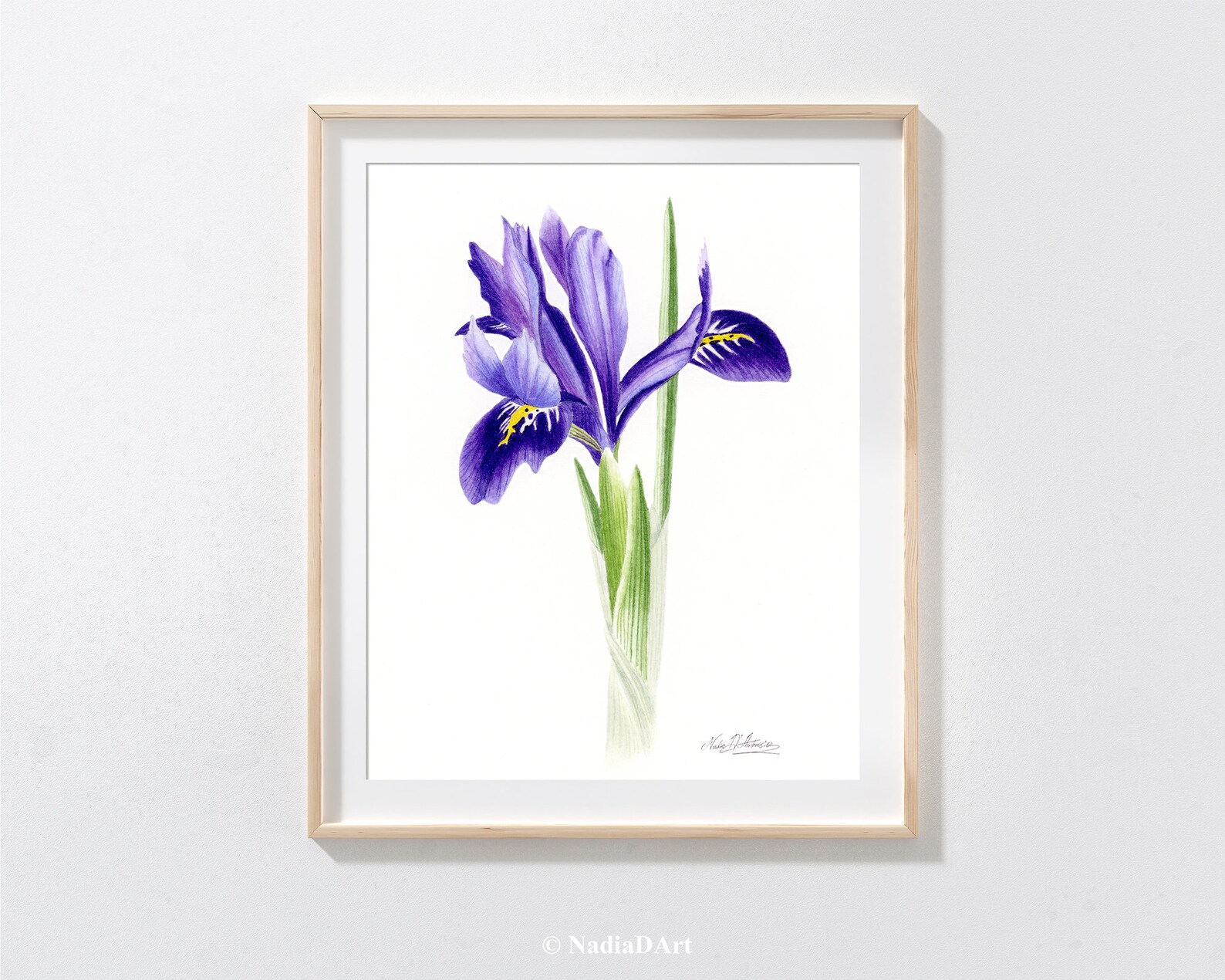 PURPLE IRIS ART Print Iris Botanical Print Iris Watercolor | Etsy