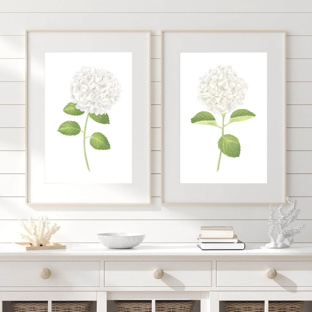 White Hydrangea Print Hydrangea Watercolor Flowers Hydrangea Painting ...