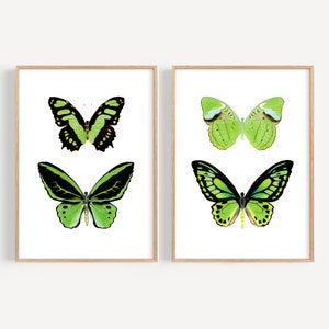 Green Butterfly Print Set of 2 Dark Green Wall Art Watercolor Butterfly ...