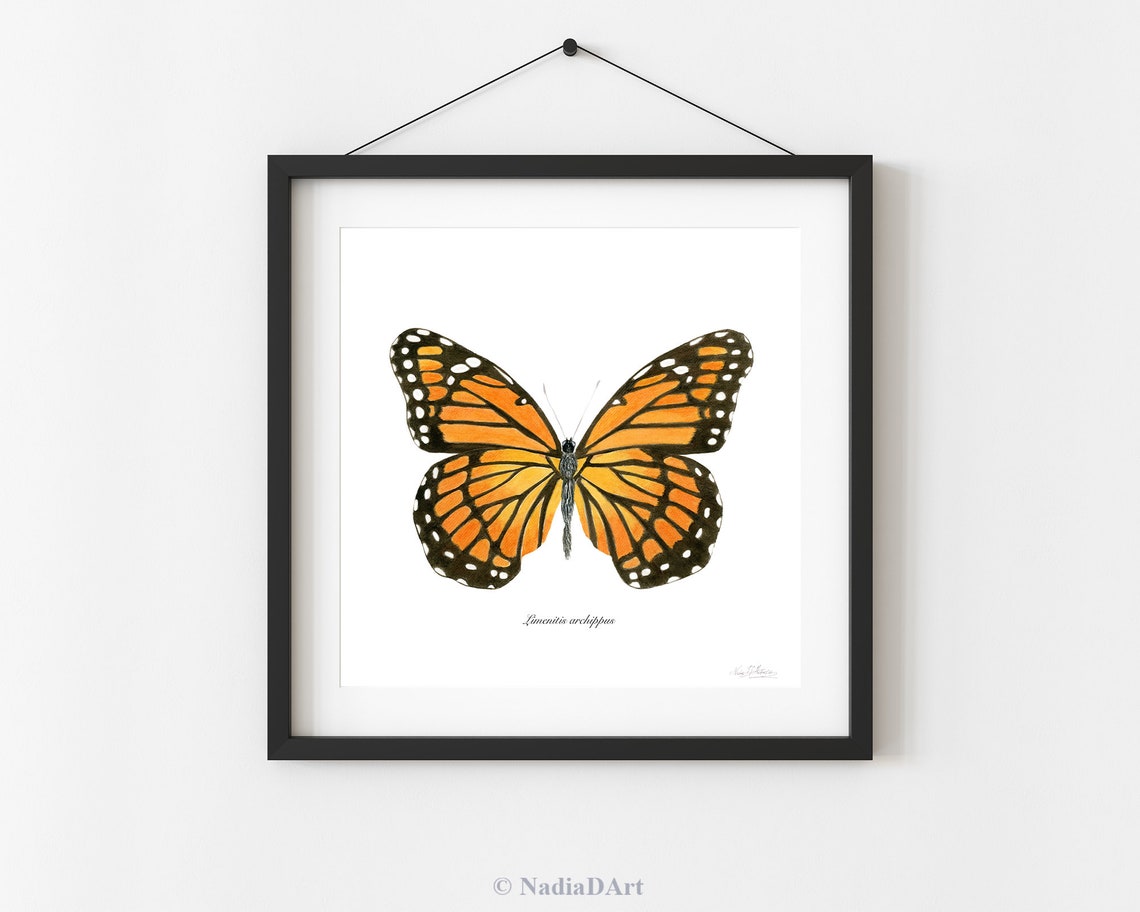 Monarch Butterfly Print Monarch Butterfly Painting Monarch - Etsy