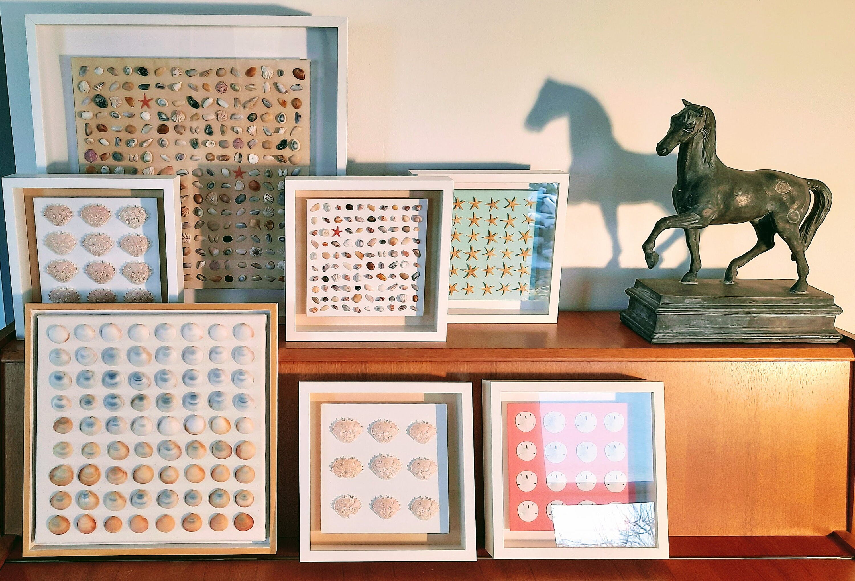 Unique Shell Art Circle Composition in Shadow Box - Etsy