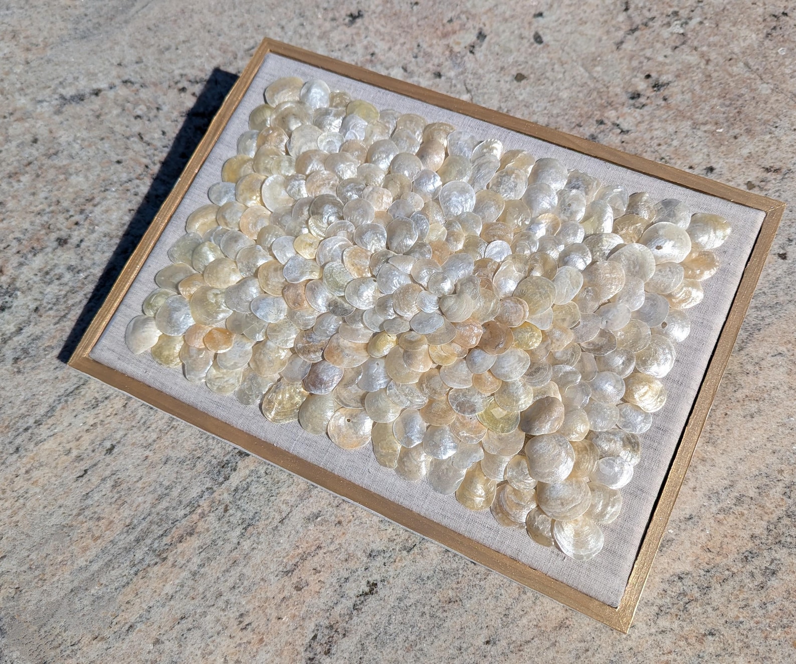 Unique Florida Jingle Shell Art in Wooden Frame - Etsy